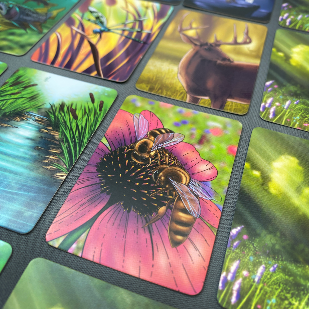 Ecosystem Review - Board Game Review