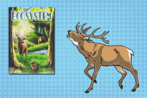 Ecosystem Review - Board Game Review