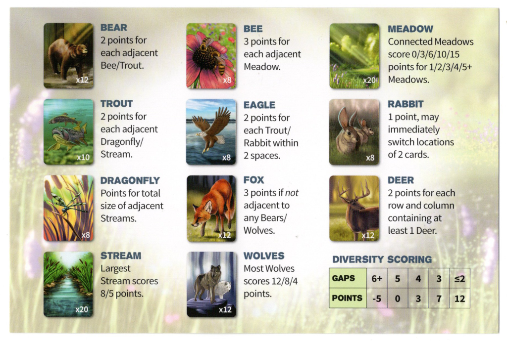 Ecosystem Review - Board Game Review