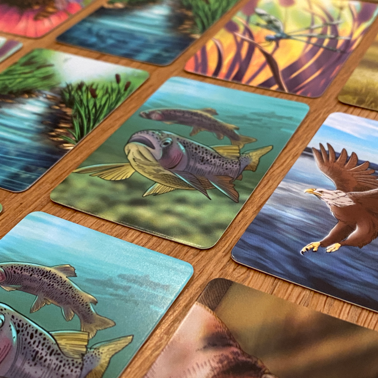 Ecosystem Review - Board Game Review