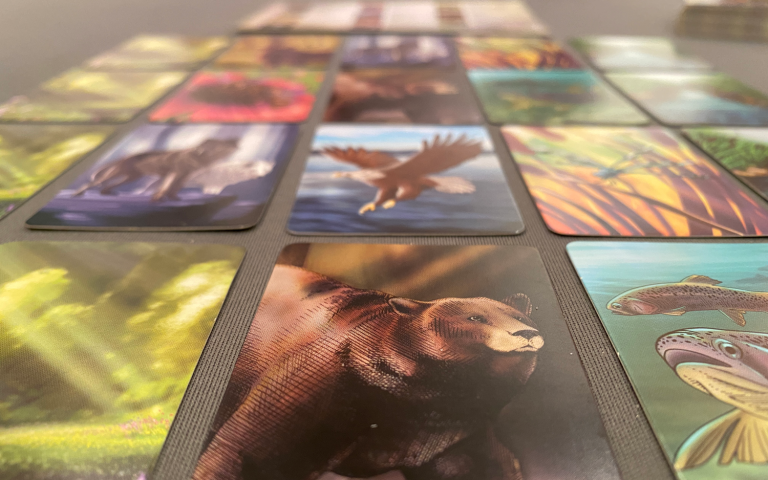 Ecosystem Review - Board Game Review