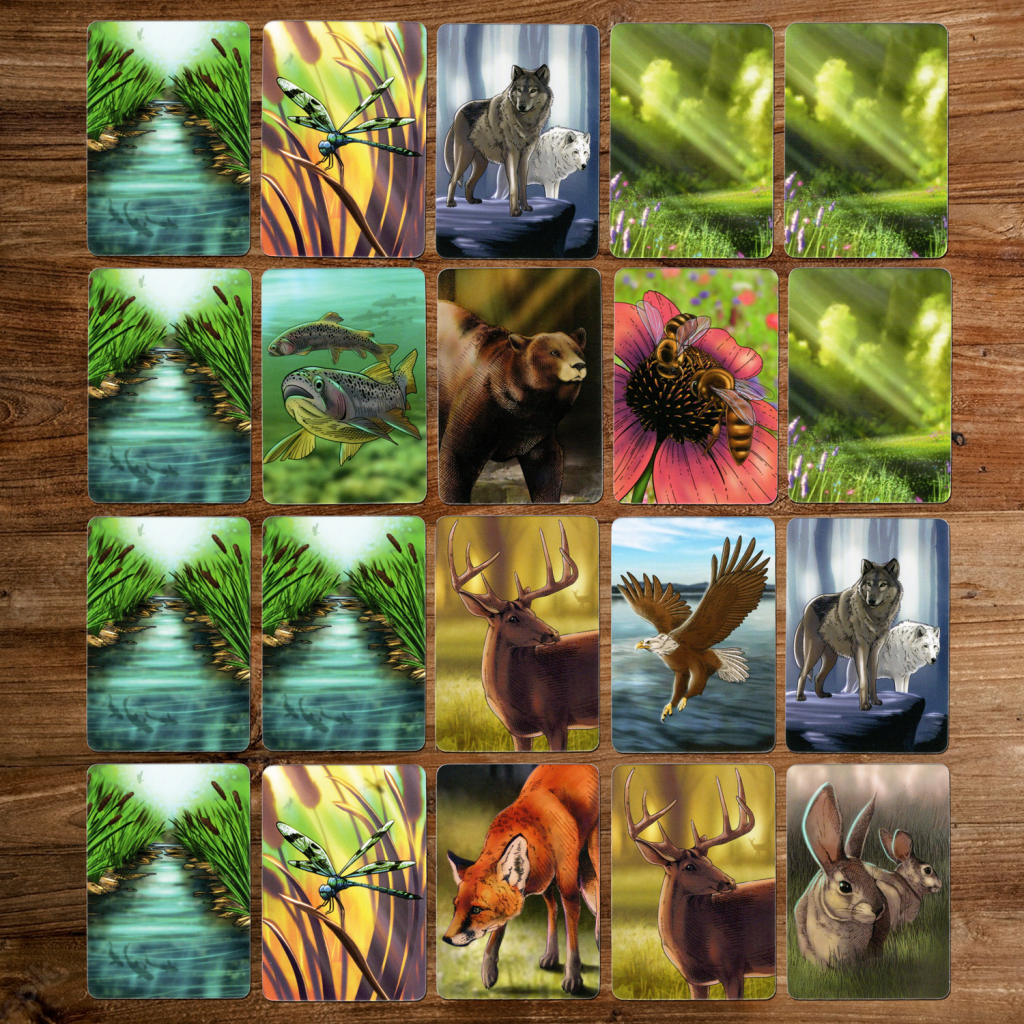 Ecosystem Review - Board Game Review