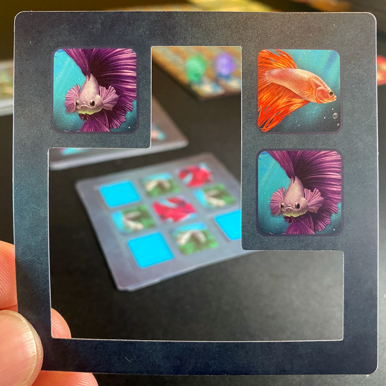 Betta Review - Board Game Review