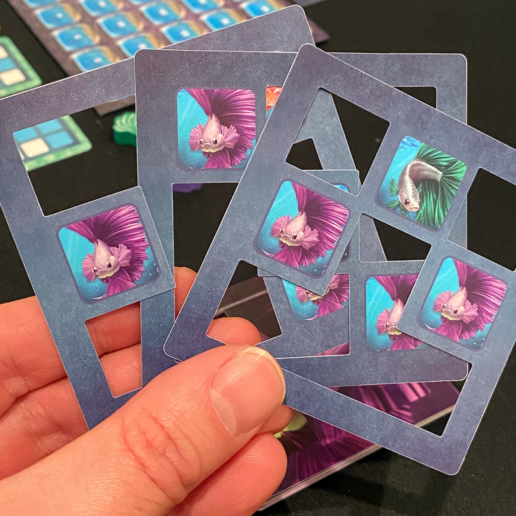 Betta Review - Board Game Review