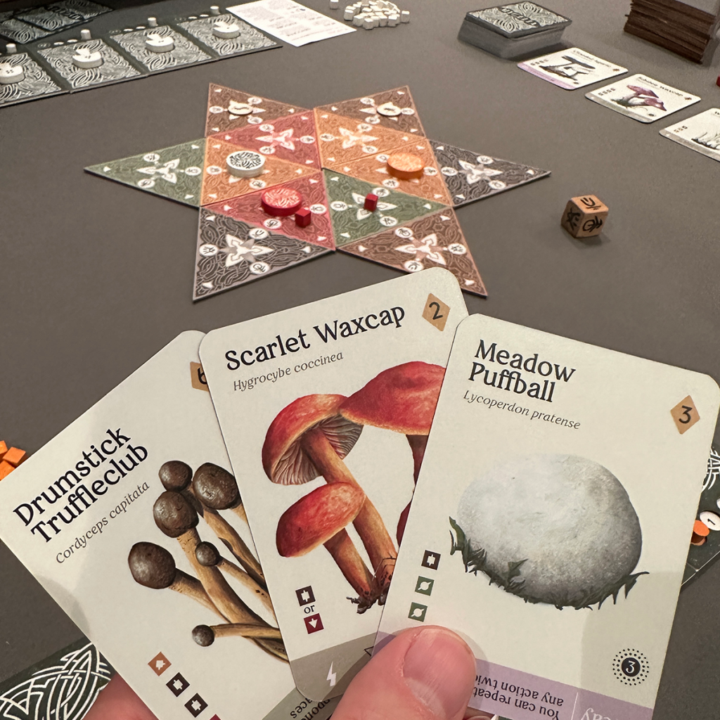 Mycelia Preview - Board Game Review