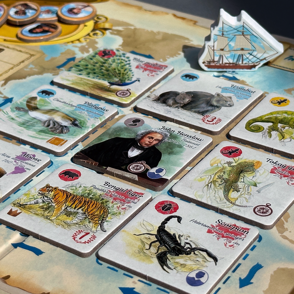 Top 10 New To Me Board Games in 2023 - Board Game Review