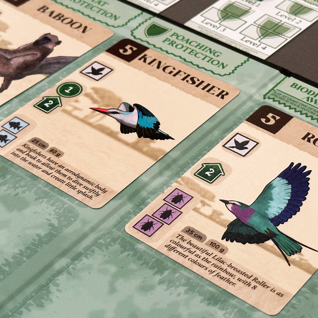 Kavango Preview - Board Game Review