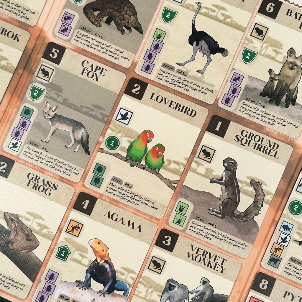 Kavango Preview - Board Game Review