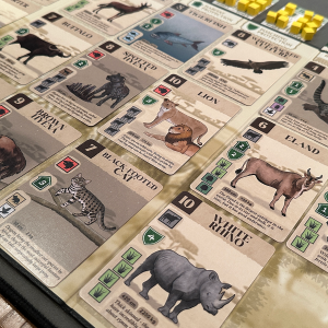 Kavango Preview - Board Game Review