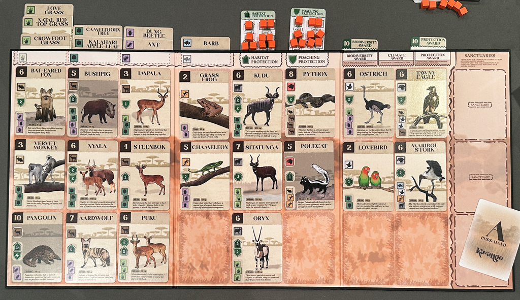 Kavango Preview - Board Game Review