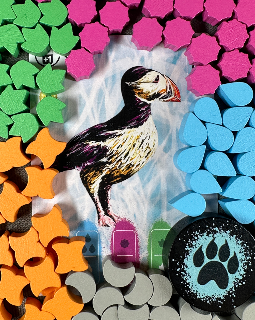 Coexist Preview - Board Game Review