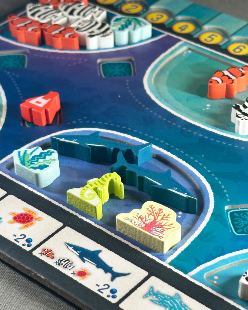 Aqua Garden Preview - Board Game Review