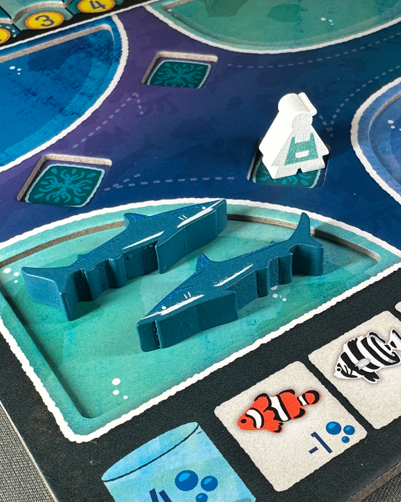 Aqua Garden Preview - Board Game Review