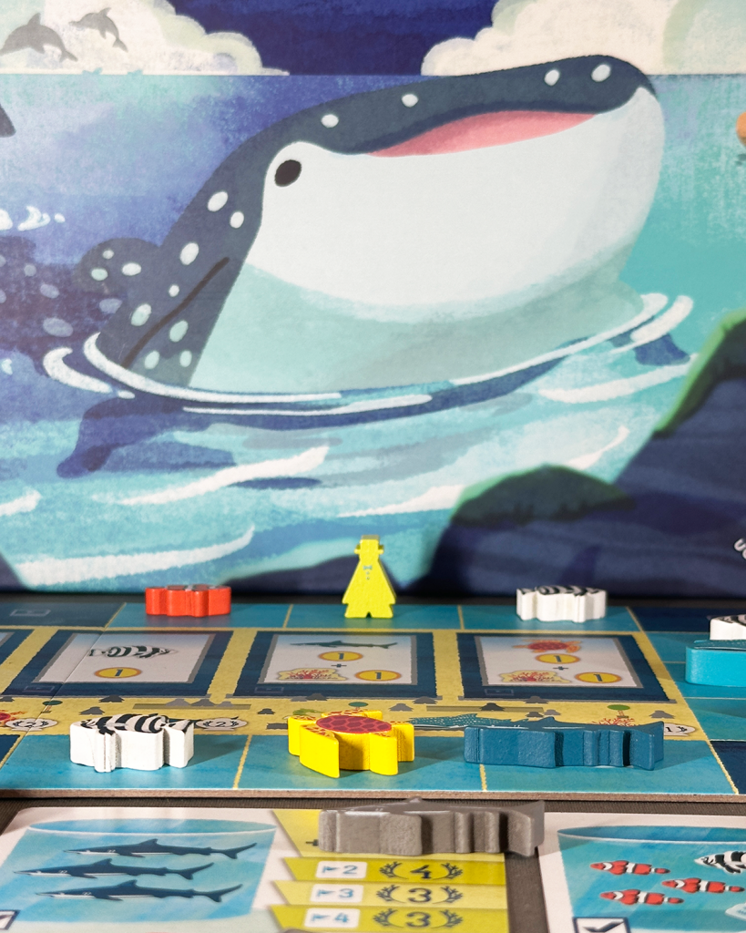 Aqua Garden Preview - Board Game Review